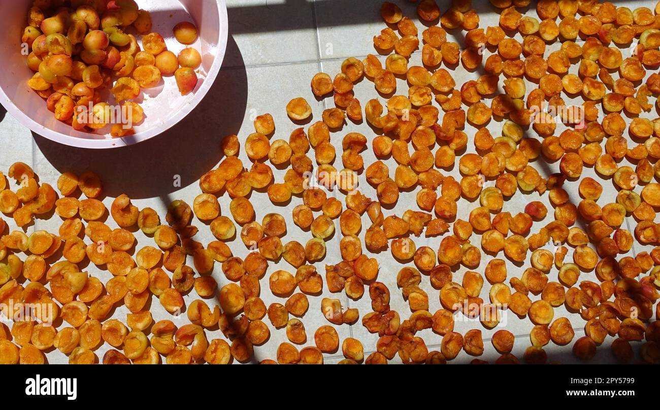 homemade apricot drying process, fruit drying process in summer, drying ... homemade apricot drying process, fruit drying process in summer, drying ...