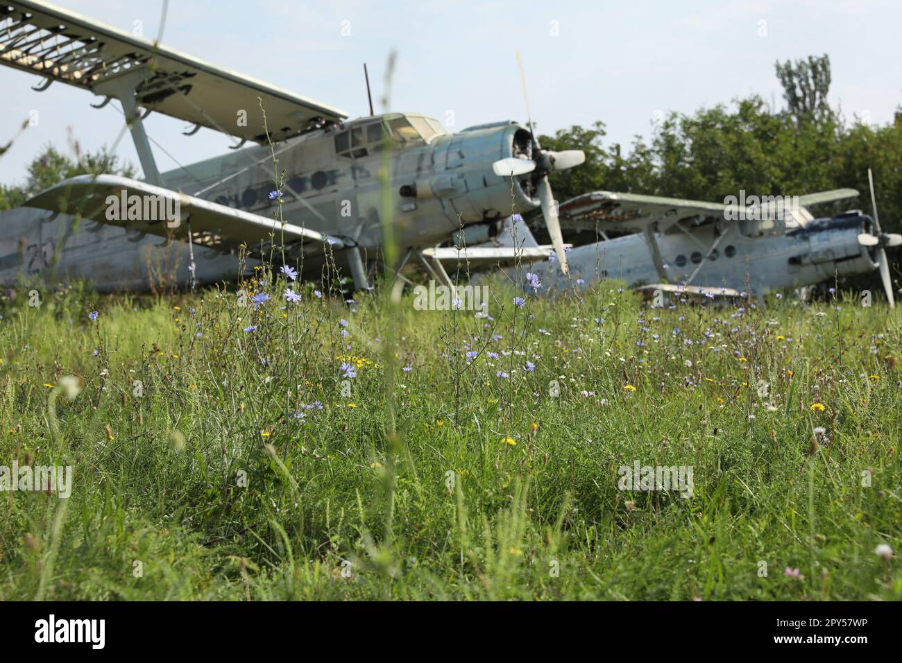 abandoned damaged soviet union military airplane Antonov An-2 Stock ...
