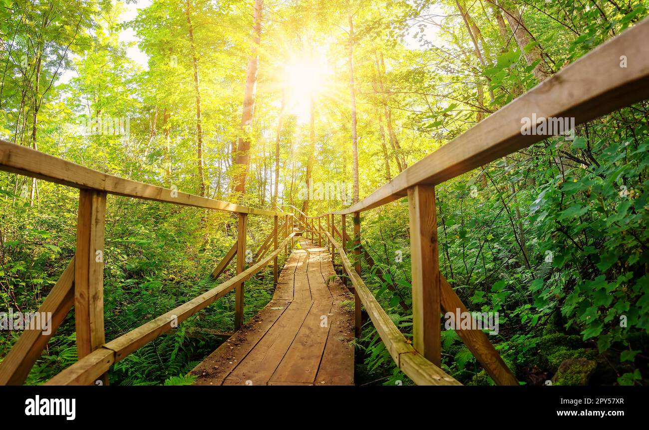 Ontika estonia hi-res stock photography and images - Alamy