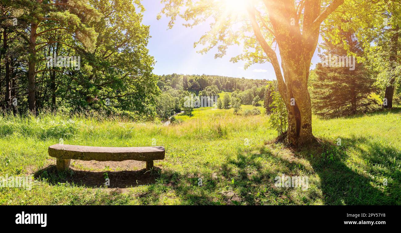 Romantic view of the loneliness stone bench in the bank of the creek in ...