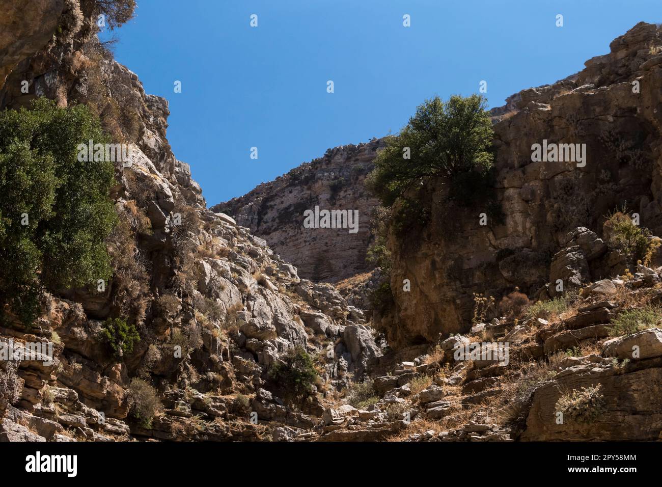 Steep hill as seen from the bottom of canyon Stock Photo - Alamy
