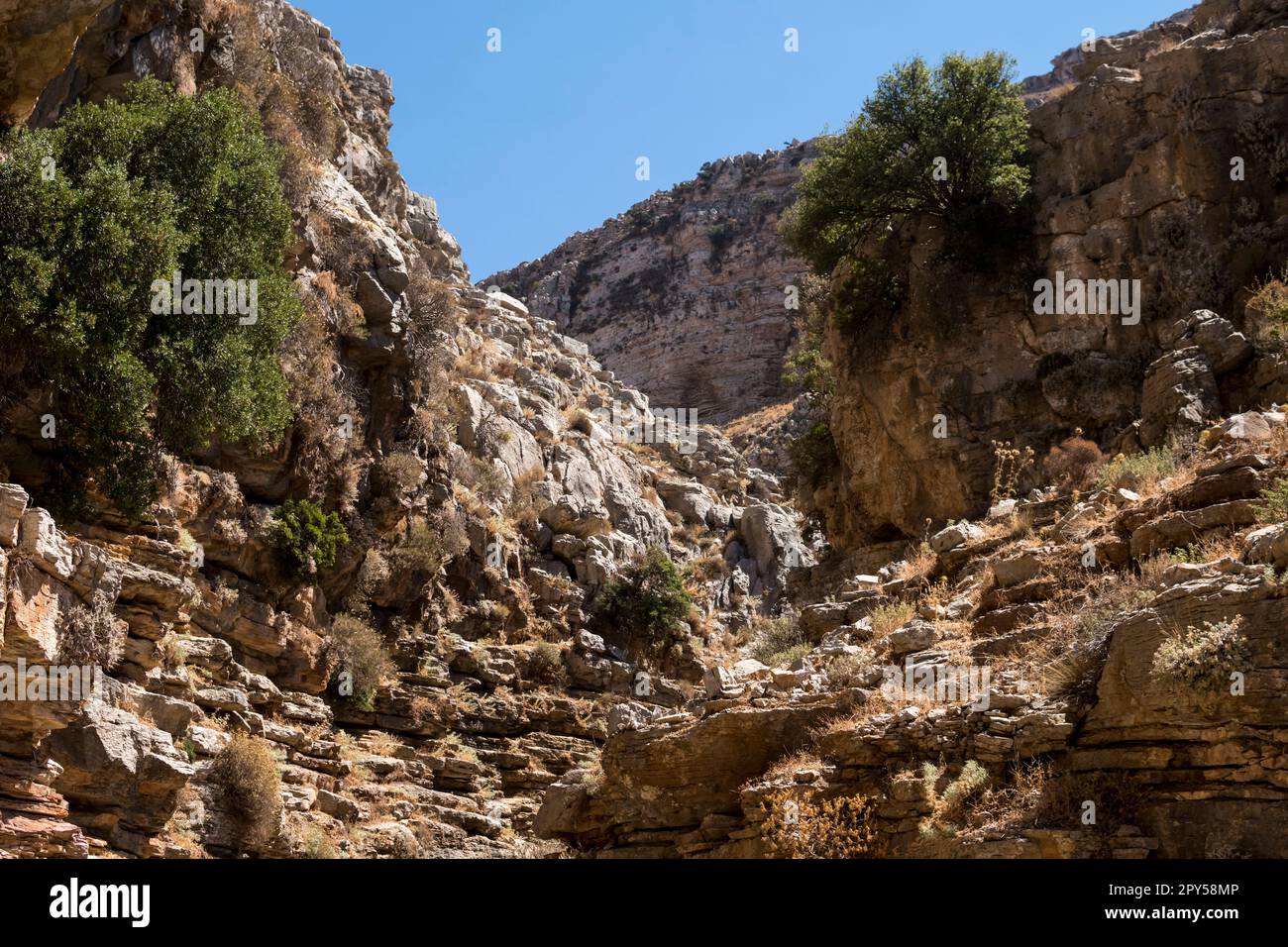Steep hill as seen from the bottom of canyon Stock Photo - Alamy