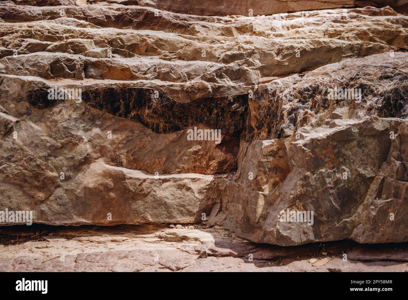 flint inside of limestone rocks in the bottom of Jacob's Canyon Stock ...