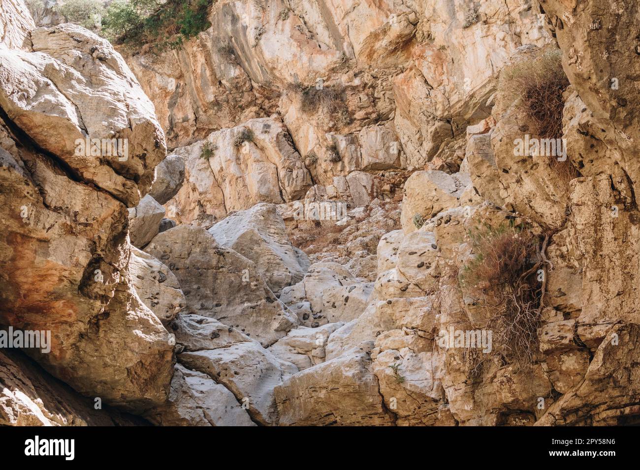Steep hill as seen from the bottom of canyon Stock Photo - Alamy