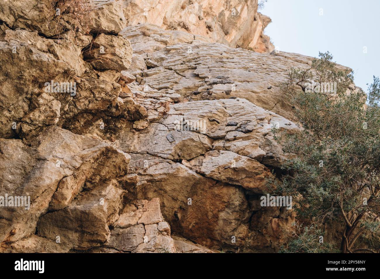 flint inside of limestone rocks in the bottom of Jacob's Canyon Stock ...
