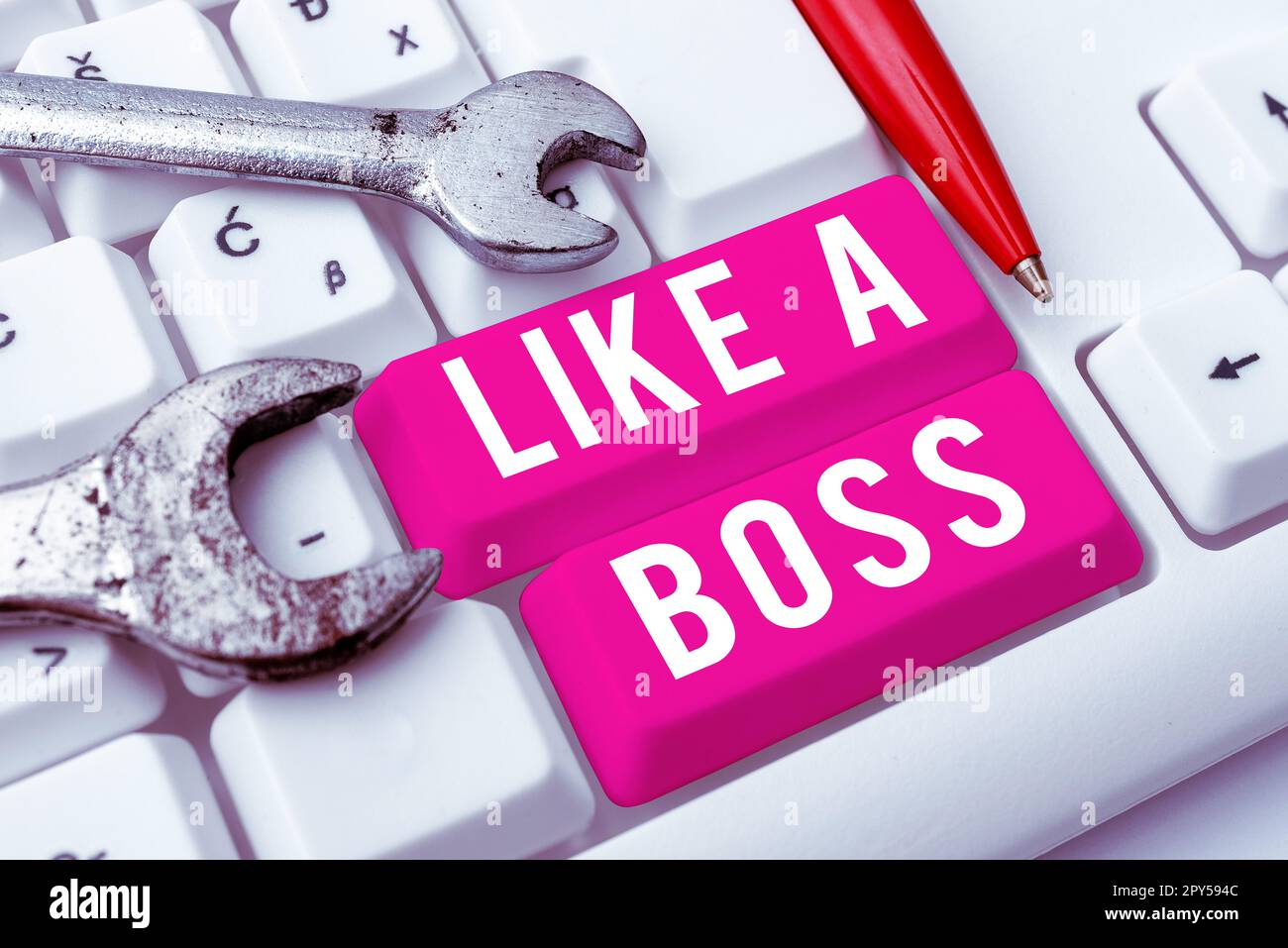 Hand writing sign Like A Boss. Business showcase Acting as if you are ...