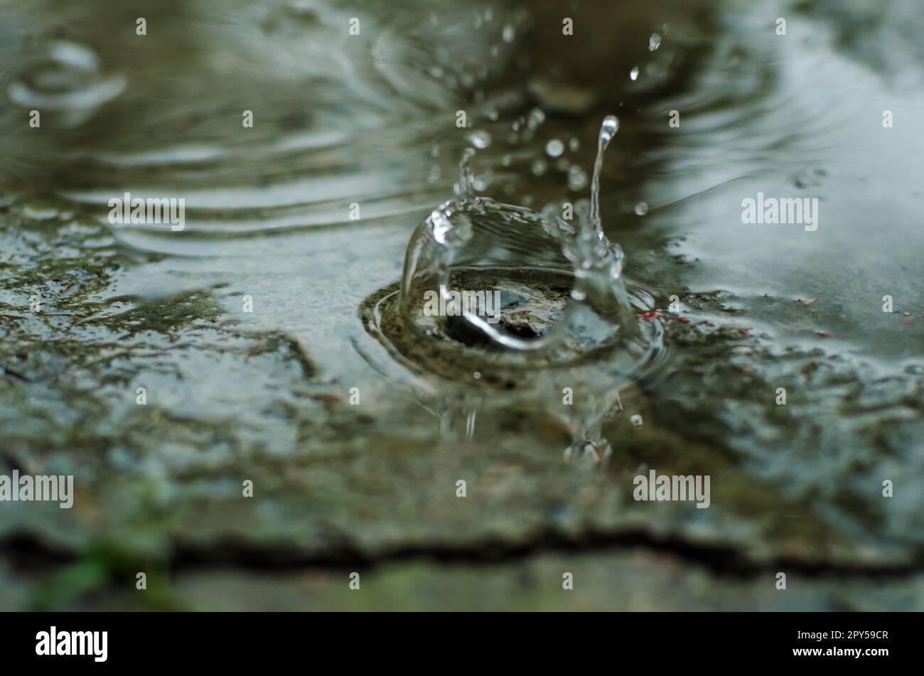 Rain drops falling on puddle hi-res stock photography and images - Alamy