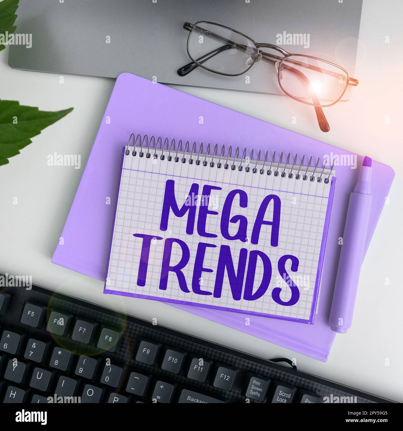 Mega trend hi-res stock photography and images - Alamy