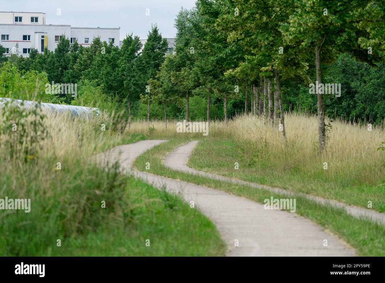 A path leading into the distance Stock Photo - Alamy