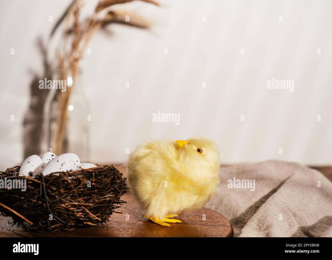 Easter composition of quail spot eggs in nest, chicken on wooden table ...