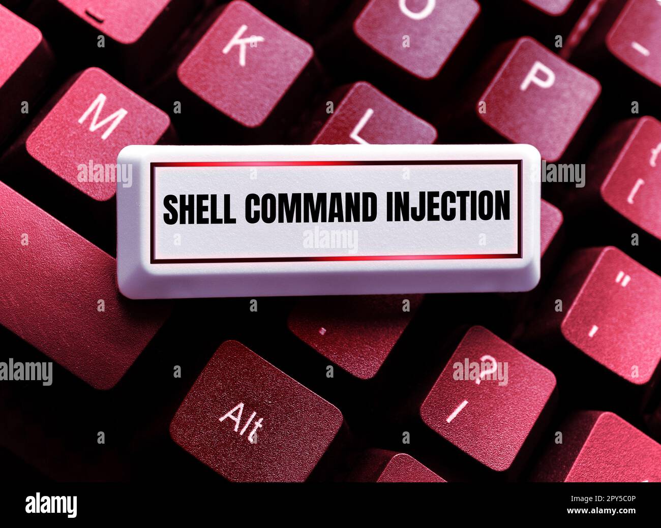 Text Caption Presenting Shell Command Injection Concept Meaning Used By Hackers To Execute