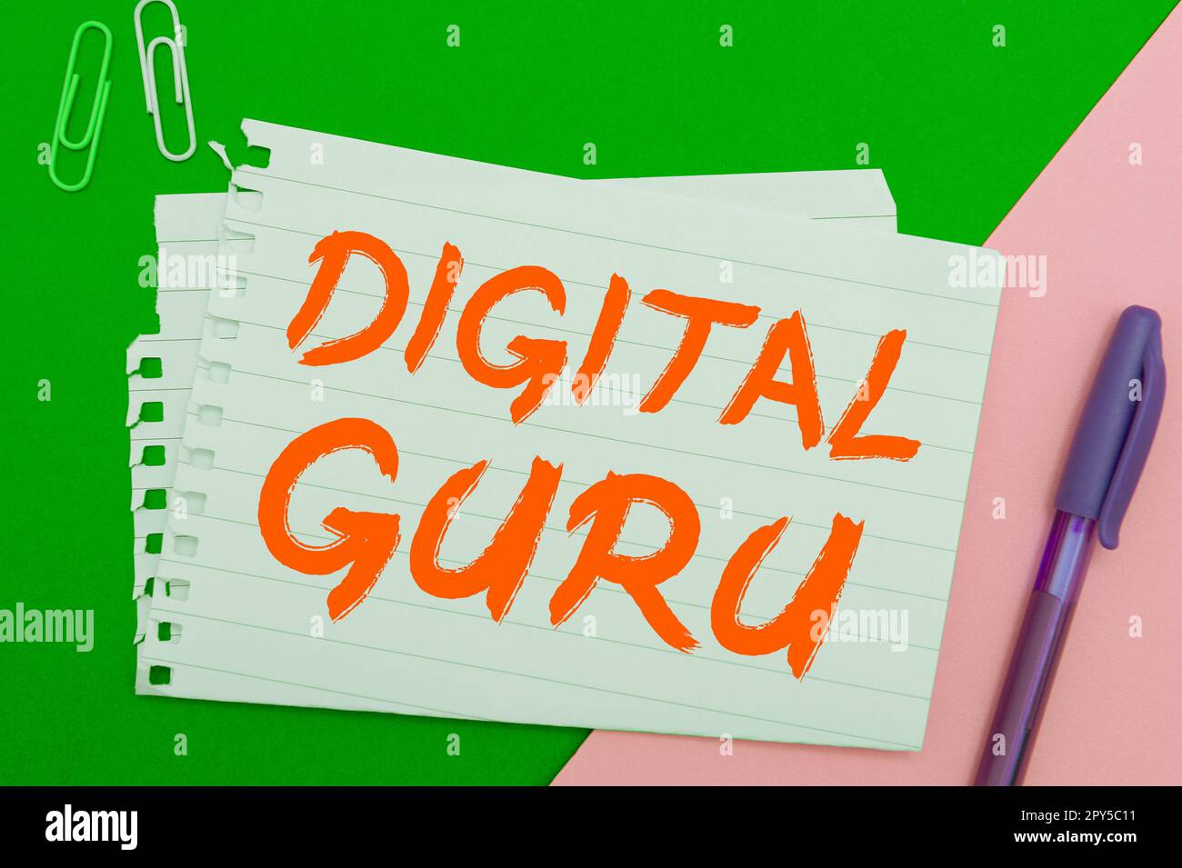 Text showing inspiration Digital Guru. Business overview teacher and ...