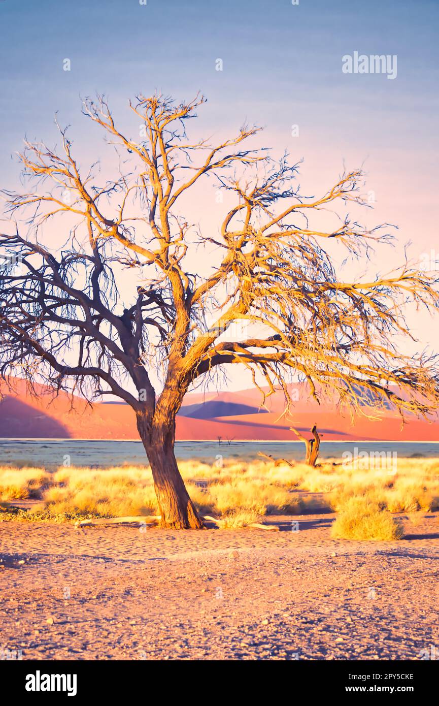 Vertical shot of dead tree in the desert of Sossusvlei, Namibia ...