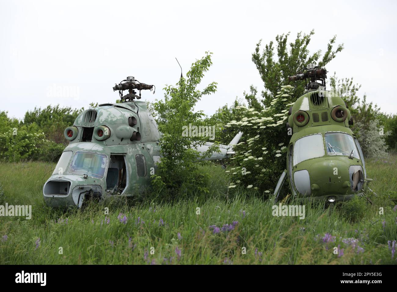 abandoned damaged russian military helicopter Mil Mi-2 Hoplite. broken ...