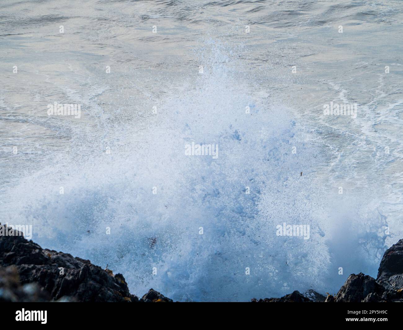 Water splashing up, sea waves crashing into rocks, seaweed and other ...