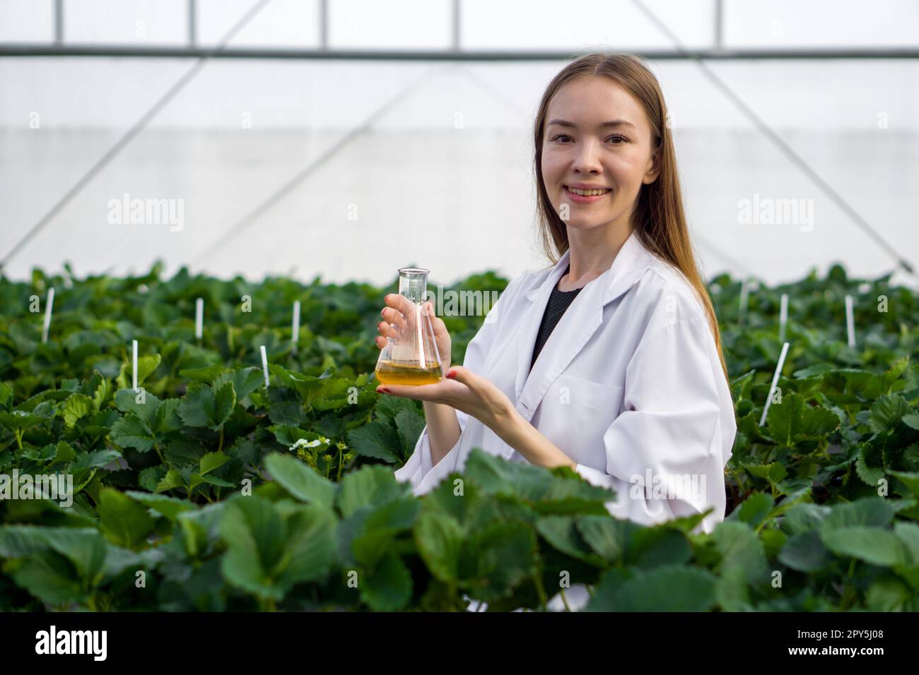 Caucasian female botanical scientist in white gown holding Erlenmeyer ...