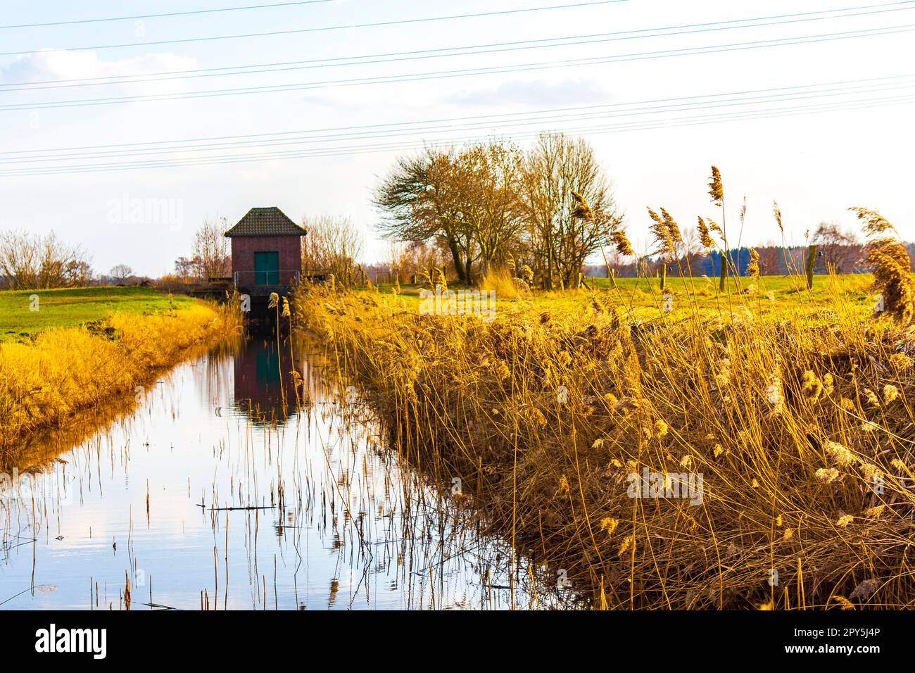 Lake river water on sunny day in natural landscape Germany Stock Photo ...