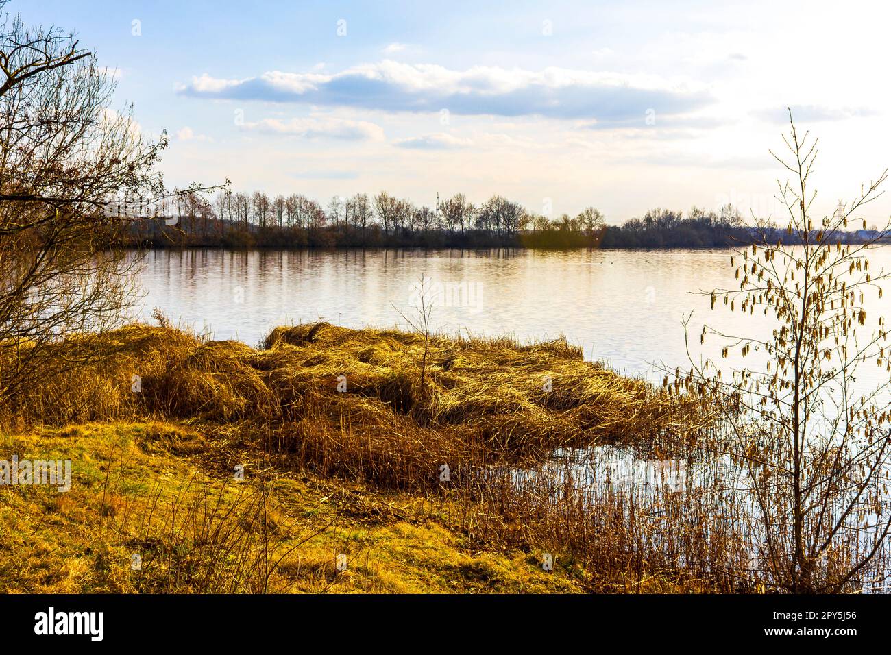 Lake river water on sunny day in natural landscape Germany Stock Photo ...