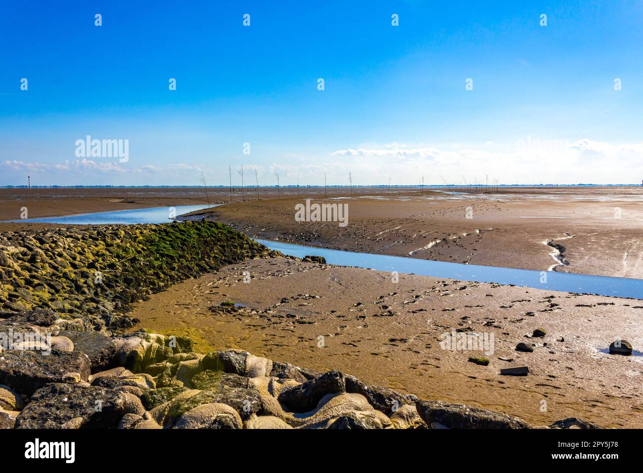 Hiking in mudflats mud on the dike and sea Germany Stock Photo - Alamy
