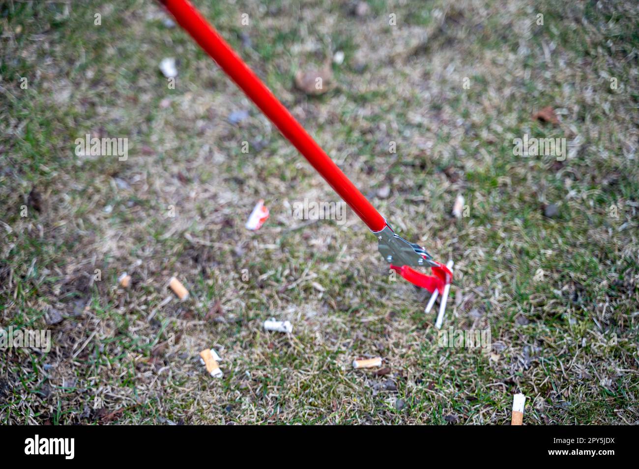 Person with Grabber Reacher Tool picking up cigarette butts from ground ...