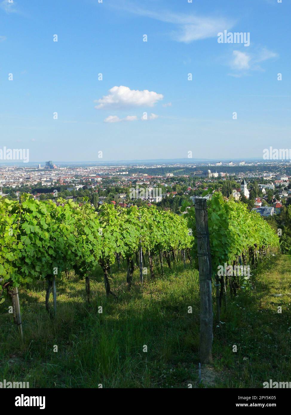 View at vienna hi-res stock photography and images - Alamy