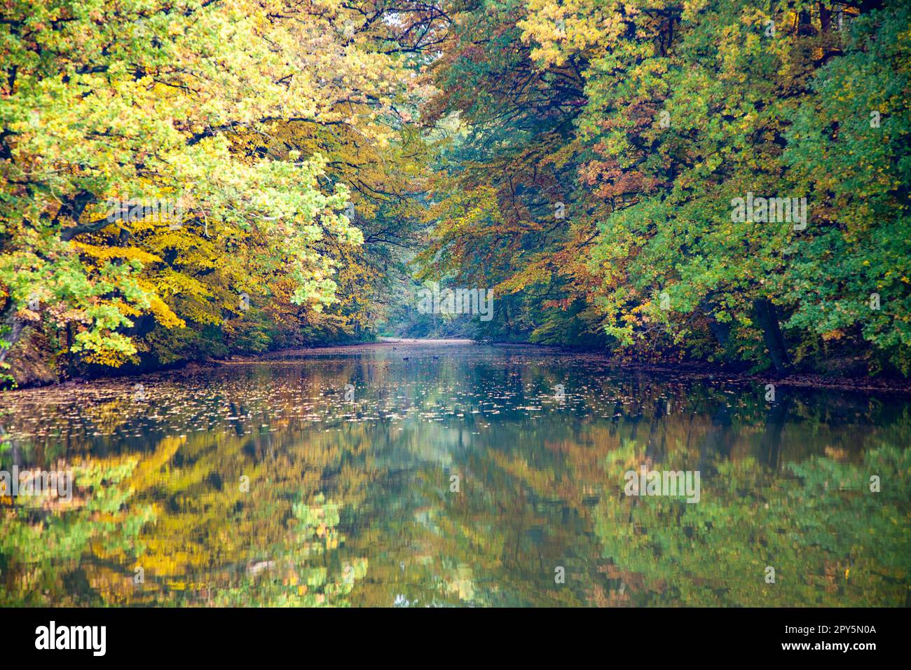 Never finished building hi-res stock photography and images - Alamy