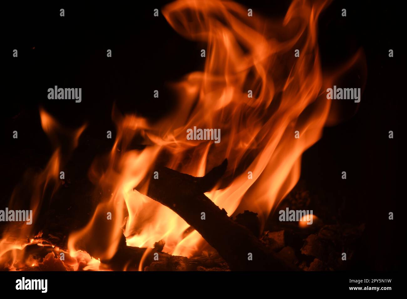 Cozy and warming log fire in the fireplace, in the province of Alicante ...