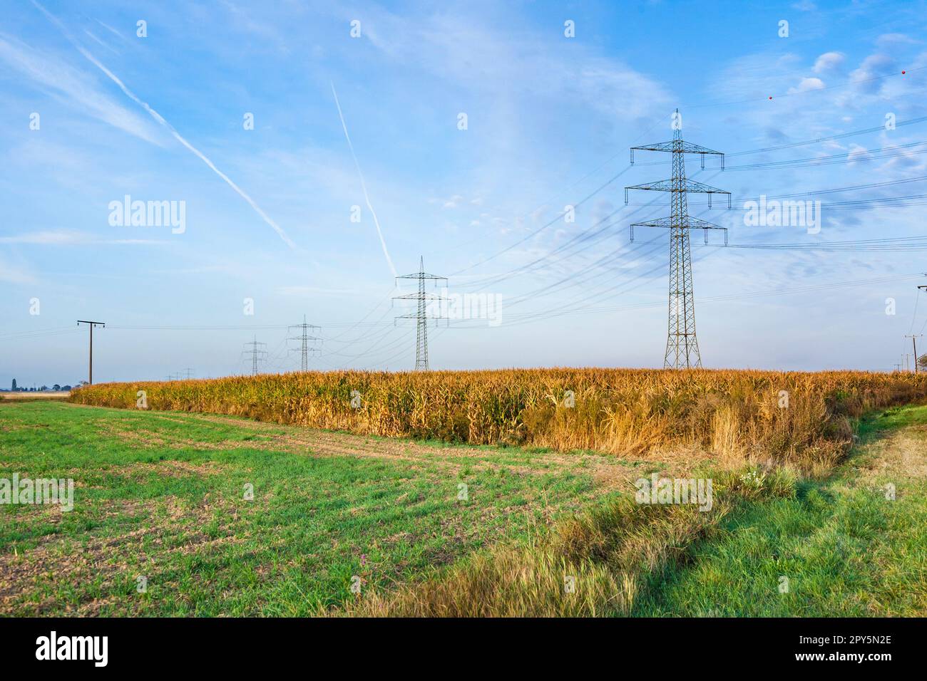 sunrise with field and electric pylon Stock Photo - Alamy