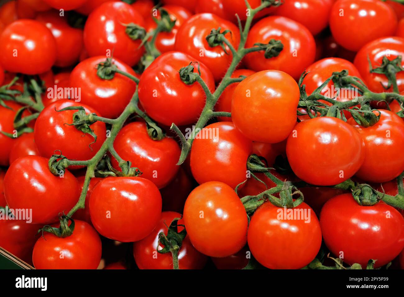 Many fresh hi-res stock photography and images - Alamy