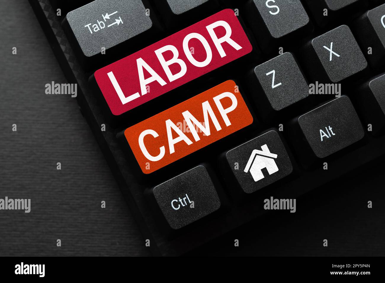Text showing inspiration Labor Camp. Business concept a penal colony ... Text showing inspiration Labor Camp. Business concept a penal colony ...