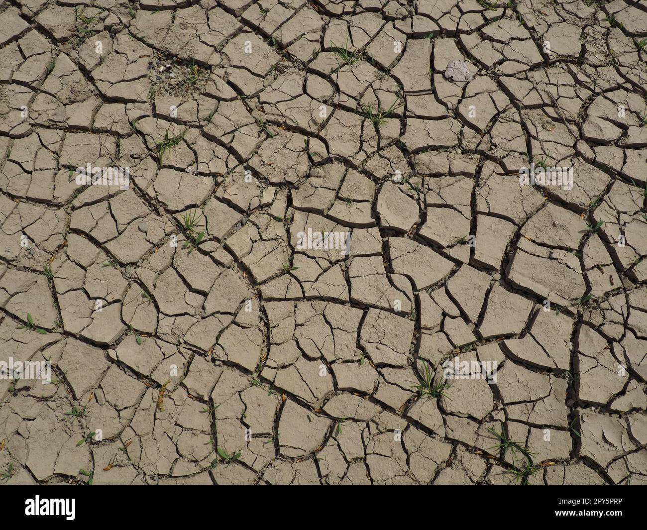 Deep cracks in the land as a symbol of hot climate and drought. Desert ...