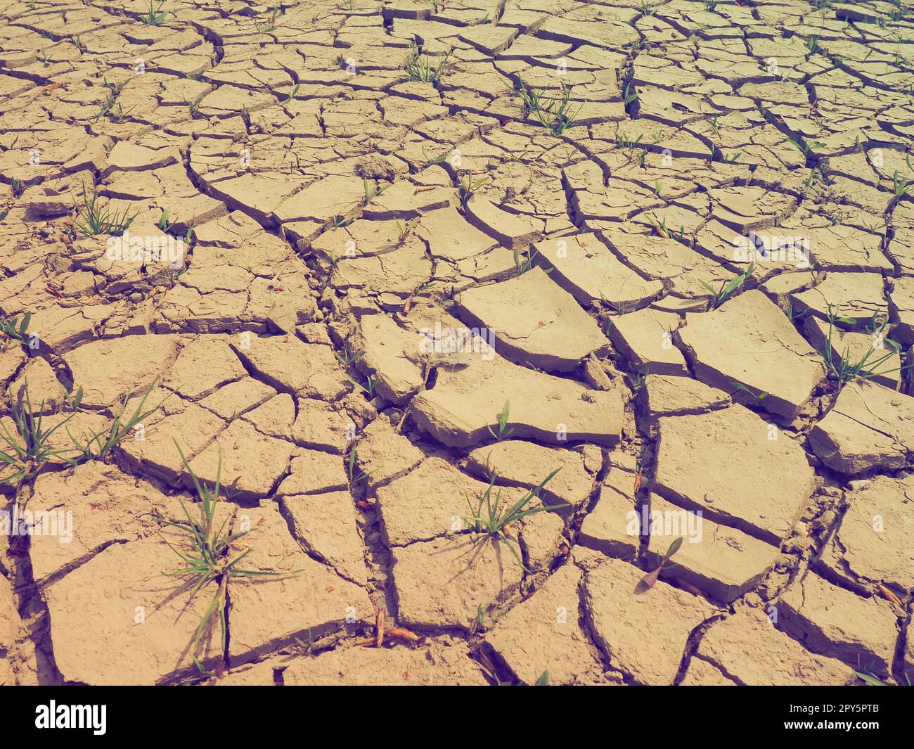 Deep cracks in the land as a symbol of hot climate and drought. Desert ...
