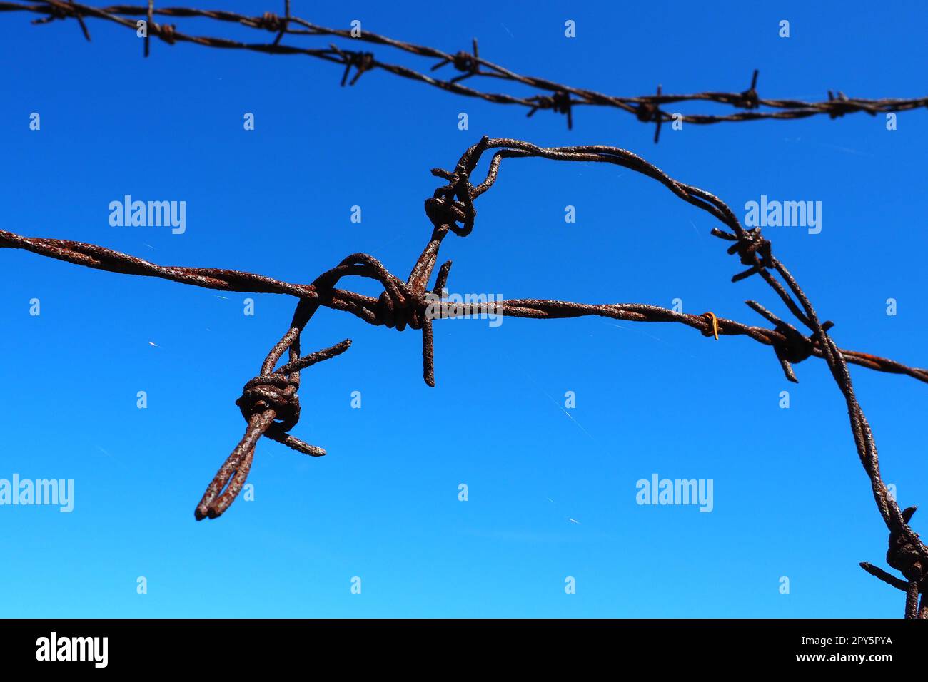 Barbed wire, wire, narrow strip of metal tape, with sharp spikes ...