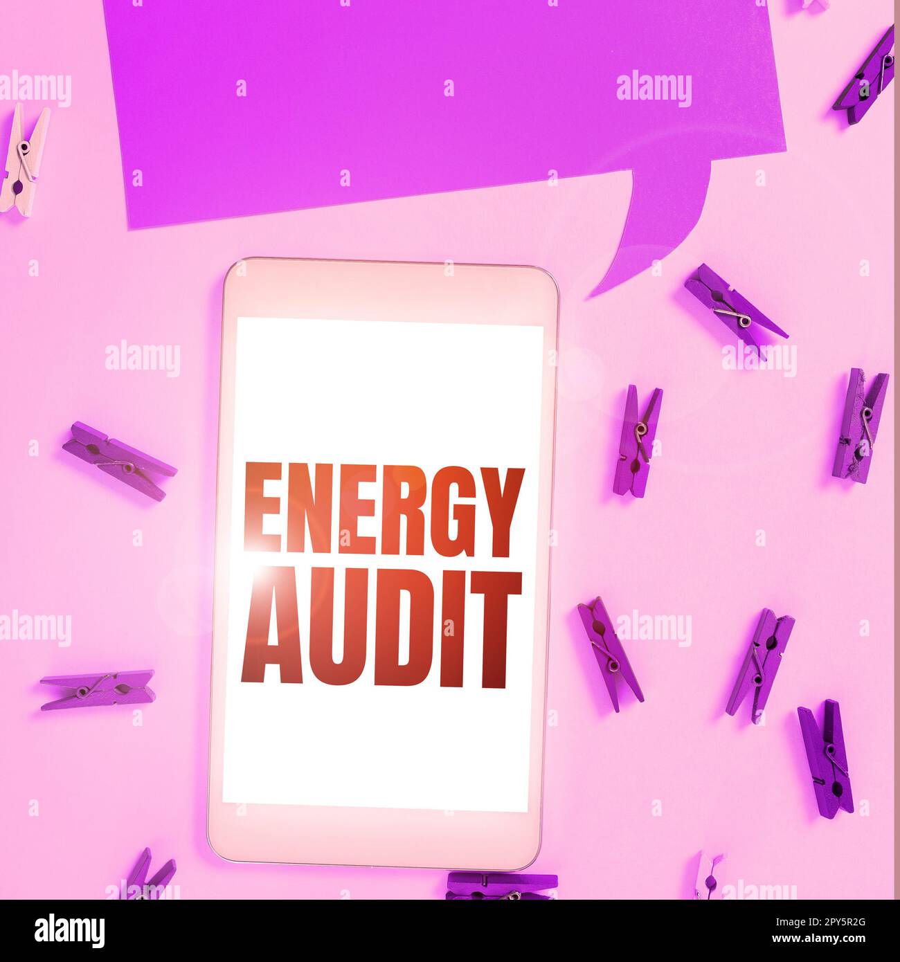 Conceptual display Energy Audit. Business showcase assessment of the ... Conceptual display Energy Audit. Business showcase assessment of the ...