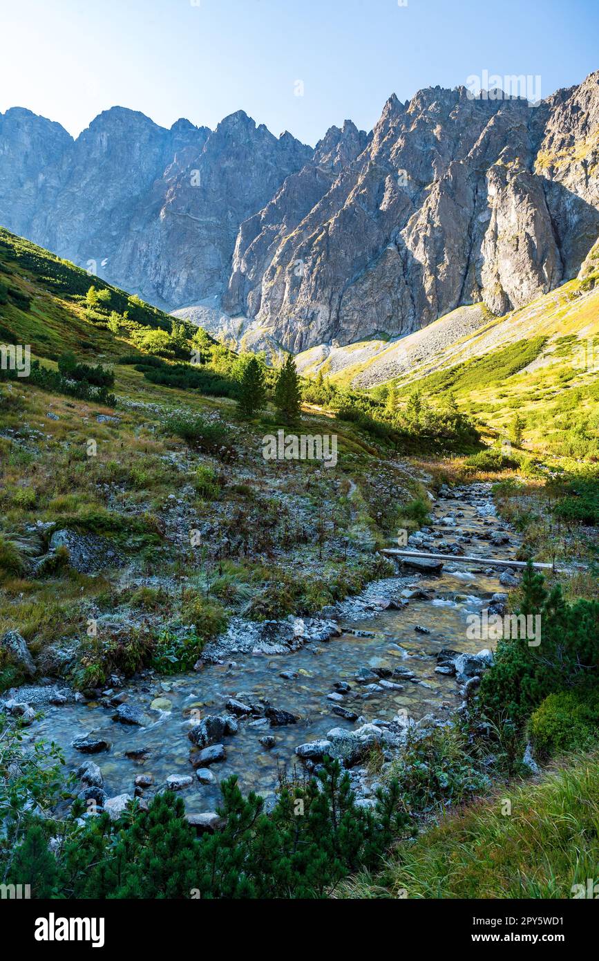 Javorova dolina valley with river and peaks above in High Tatras ...
