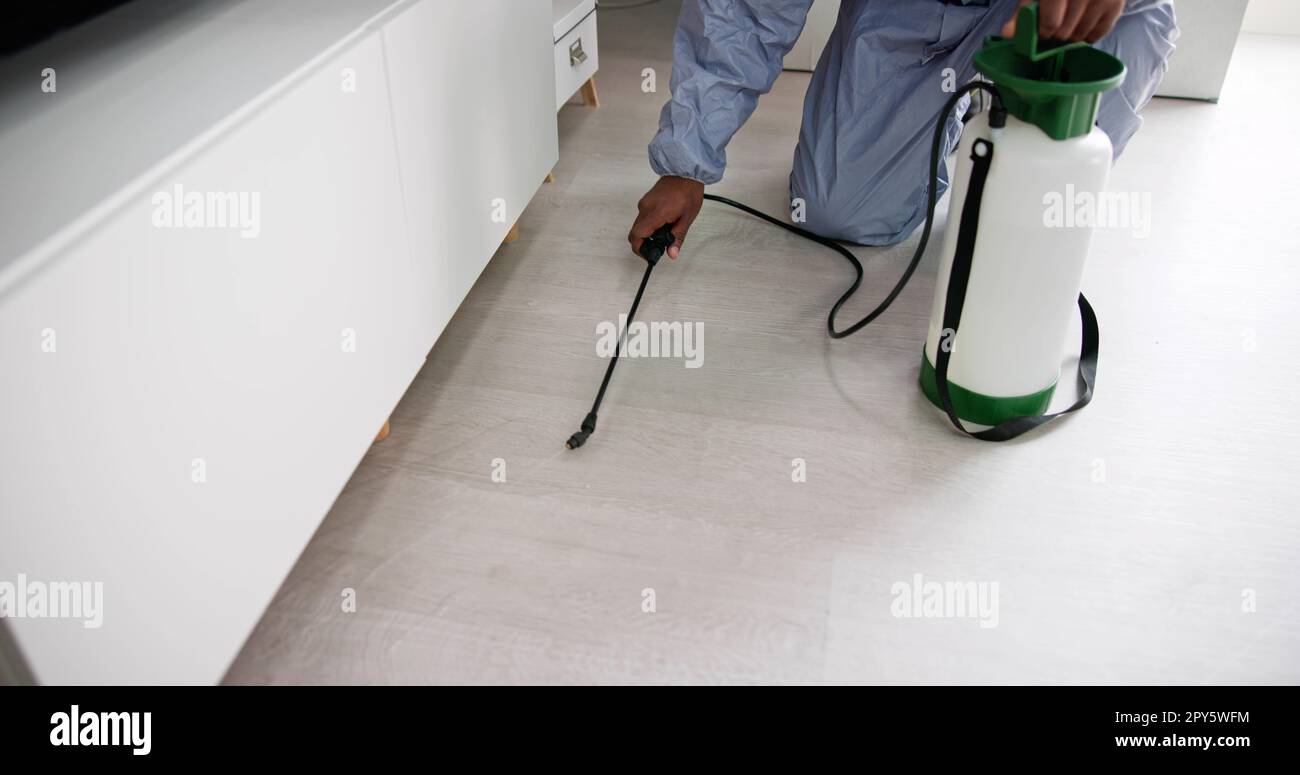 Exterminate hi-res stock photography and images - Alamy