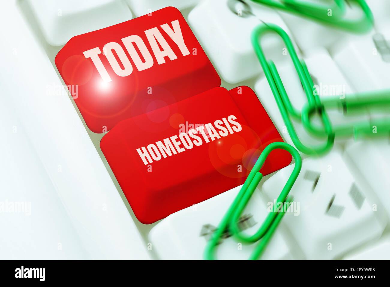 Sign displaying Homeostasis. Internet Concept the tendency toward a ...