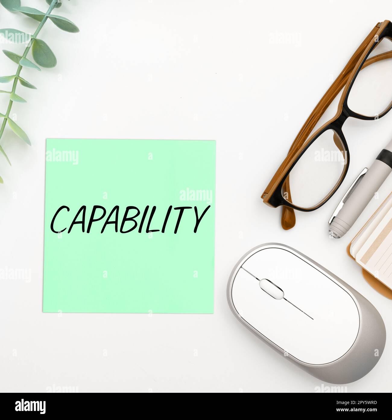 Text sign showing Capability. Concept meaning the facility or potential ...