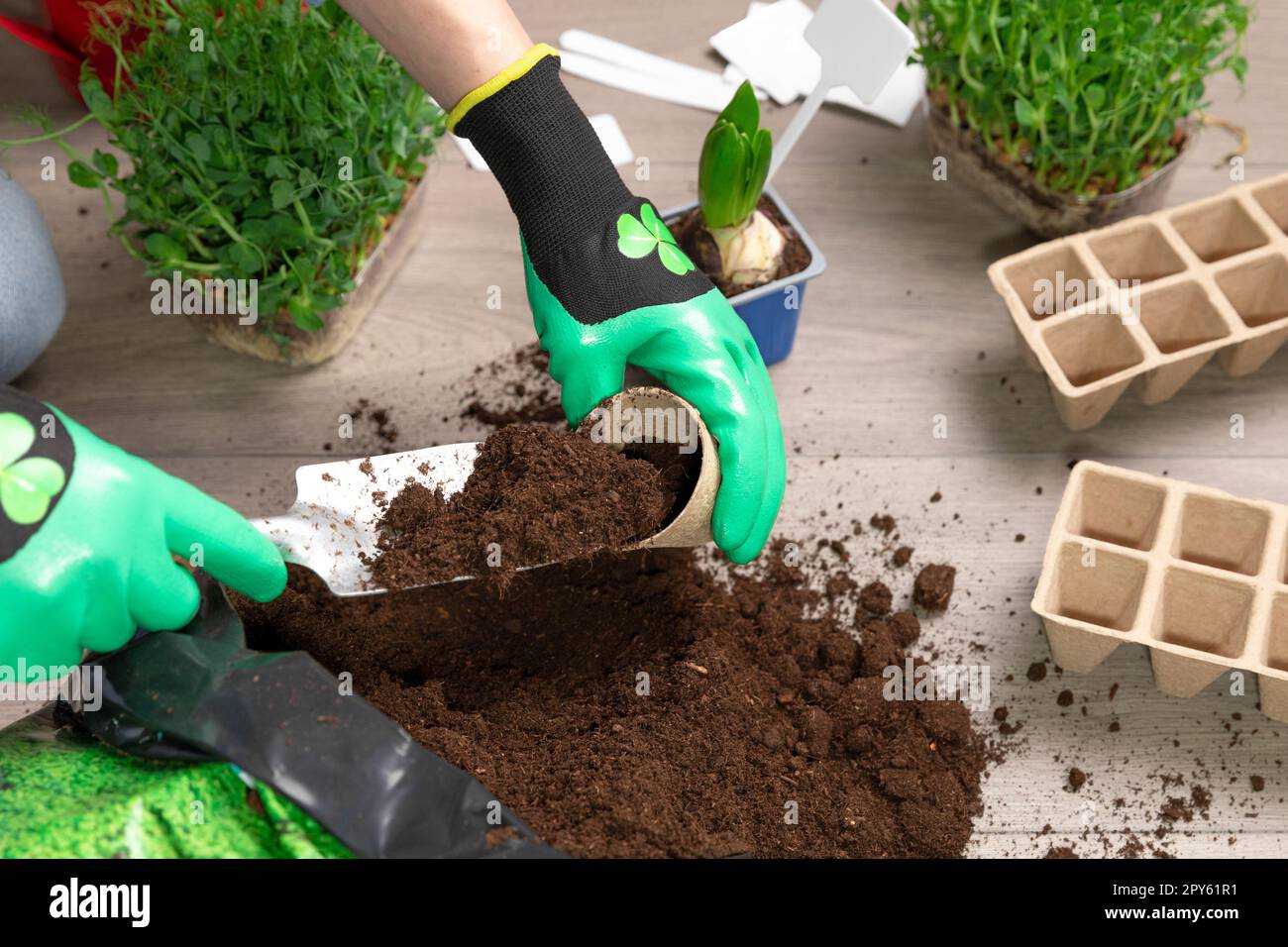 Planting plants with dirt and wattering can. Spring time and seeding ...
