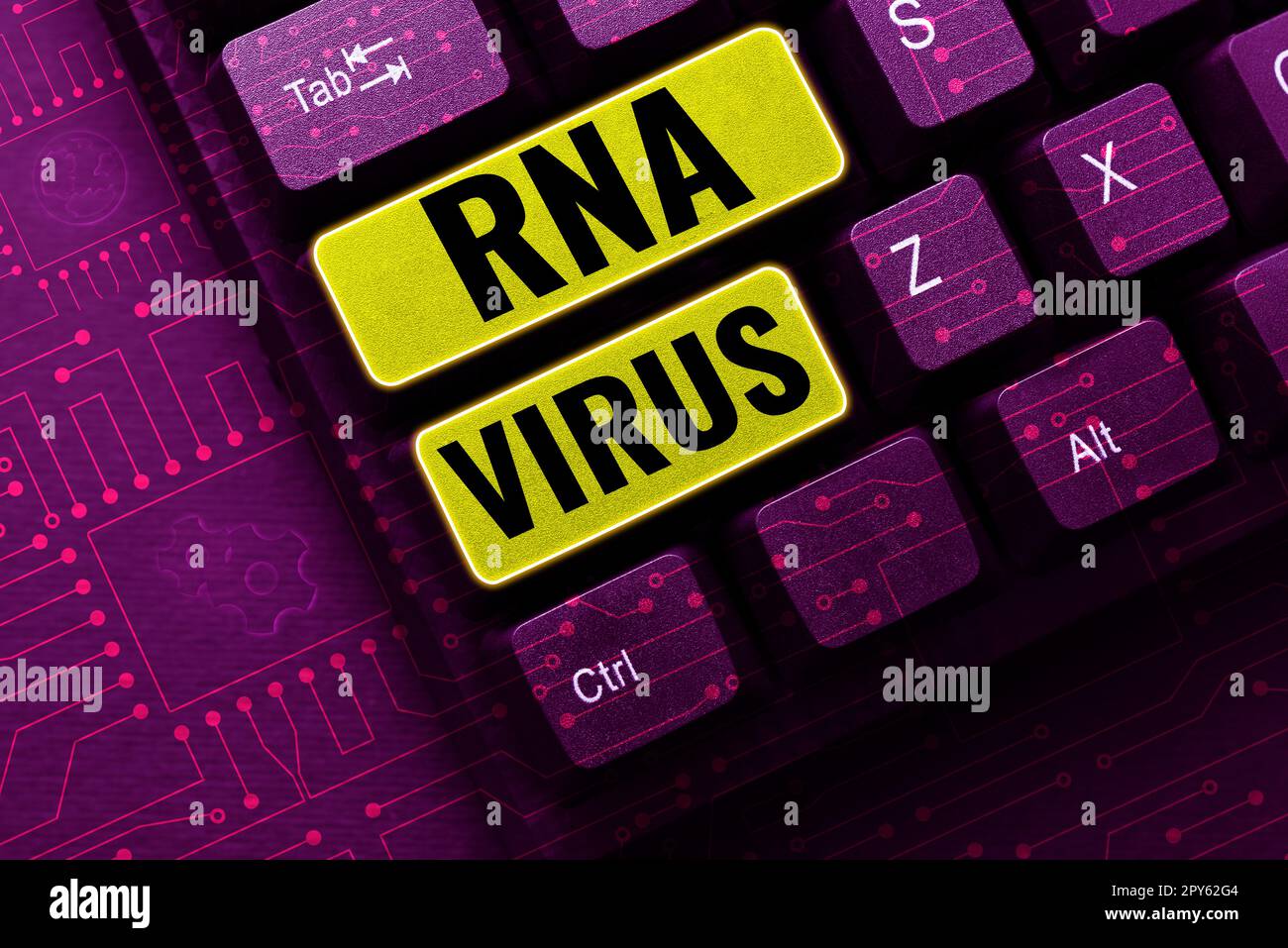 Text showing inspiration Rna Virus. Business approach a virus genetic ...
