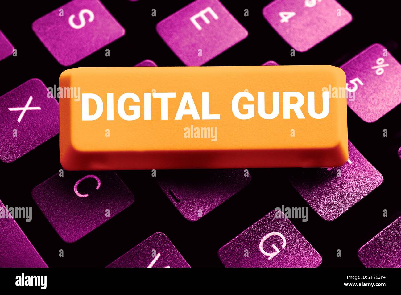 Text showing inspiration Digital Guru. Business overview teacher and ...