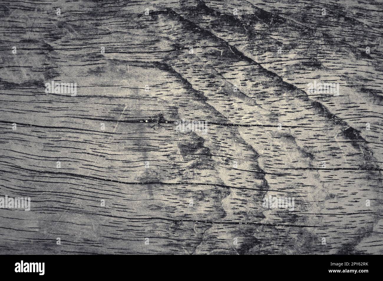 Wood Surface High Resolution