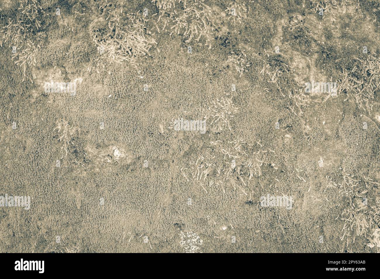 Green stone texture hi-res stock photography and images - Alamy