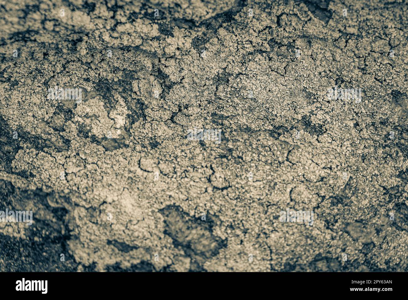 Stone rock texture with green moss and lichen in Brazil Stock Photo - Alamy