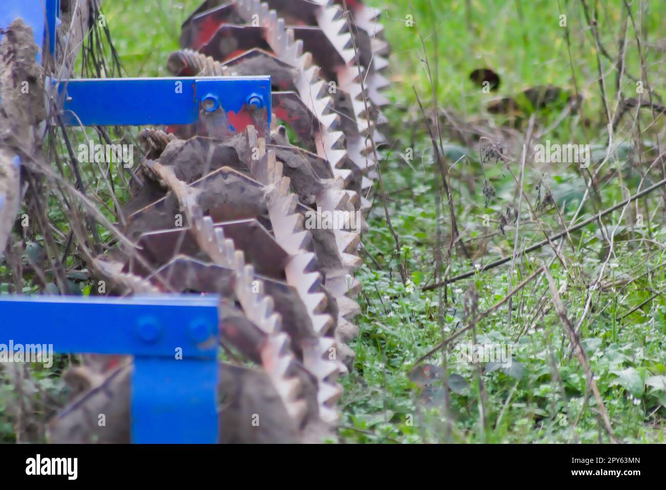 Blue heavy agricultural equipment like plow with sharp steel discs for ...