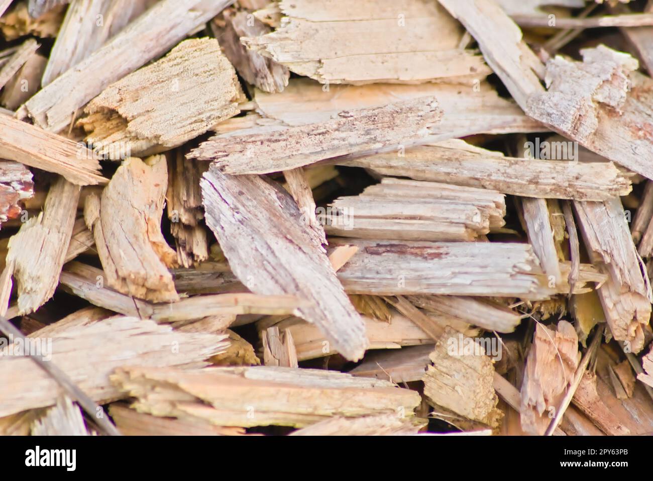 Many wood chips as wooden background in close-up macro view shows ...