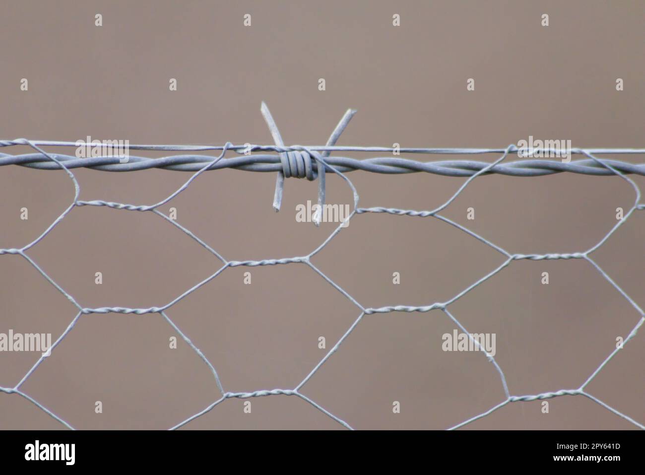 Wire mesh boundary fence hi-res stock photography and images - Alamy