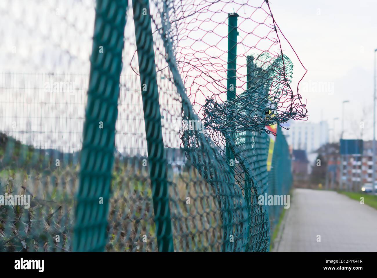 Green damaged wire-mesh fence is ruined after collision with car ...