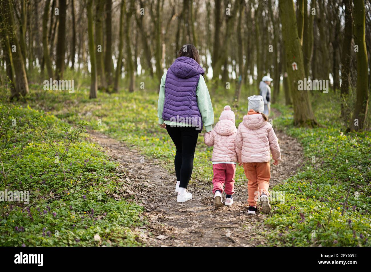 Back view of mother with three kids walking on forest trail. Outdoor spring leisure concept ...