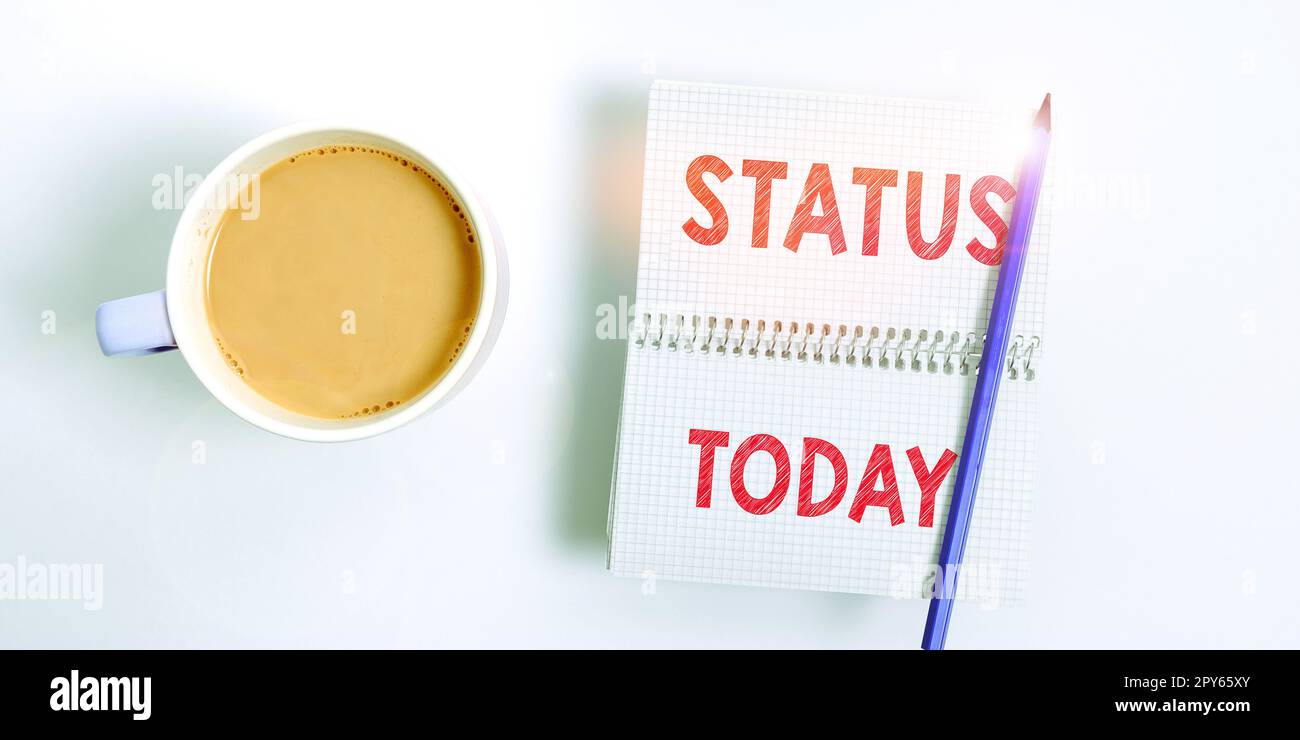 Handwriting text Status. Business idea situation at a particular time ...